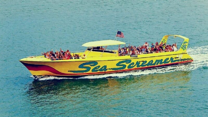 Small Group Clearwater Beach,Dolphin Watch Tour from Orlando - Who Is This Tour Best For?