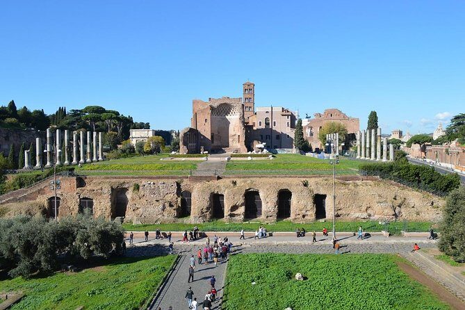 Small Group Colosseum, Roman Forum and Palatine Hill Guided Tour - Who Would Benefit Most from This Tour?