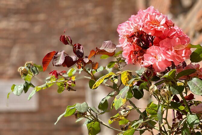 Small Group Colosseum Underground and Arena Floor Guided Tour - The Sum Up