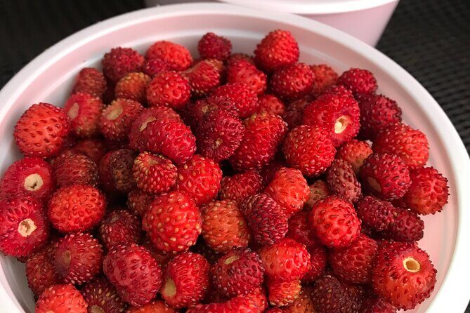 Small Group Corfu Gastronomy Tour - FAQs