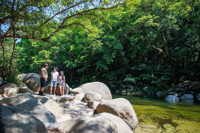 Small Group Daintree Rainforest and Aboriginal Coastal Adventure - Who Would Love This Tour?