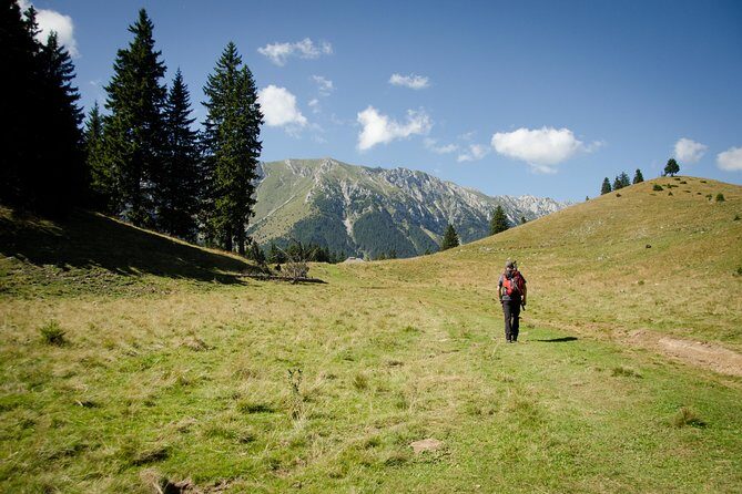 Small-Group Day Trip in Romanian Authentic Mountain Villages from Brasov - Who Will Love This Tour?