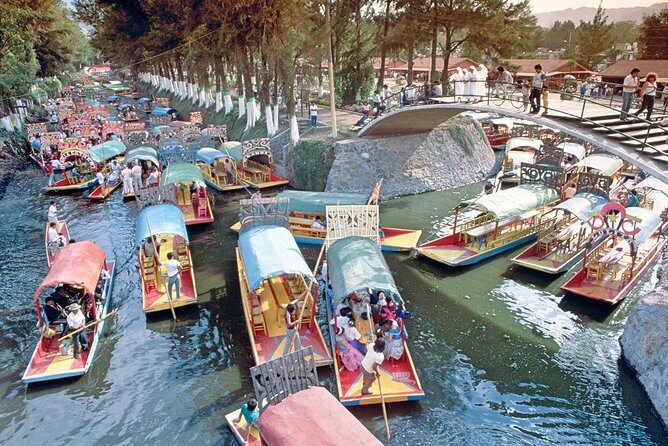 Small Group: Discover Xochimilco, Coyoacán, Frida Kahlo Museum and House - Final Thoughts: Is This Tour Right for You?