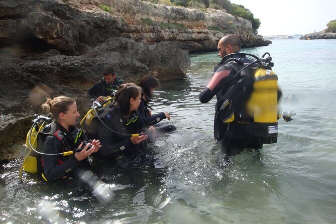 Small Group Diving Adventure in Menorca - Who Should Consider This Tour?
