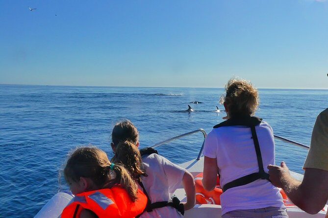 Small Group Dolphin and Wildlife Watching Tour in Faro - FAQ