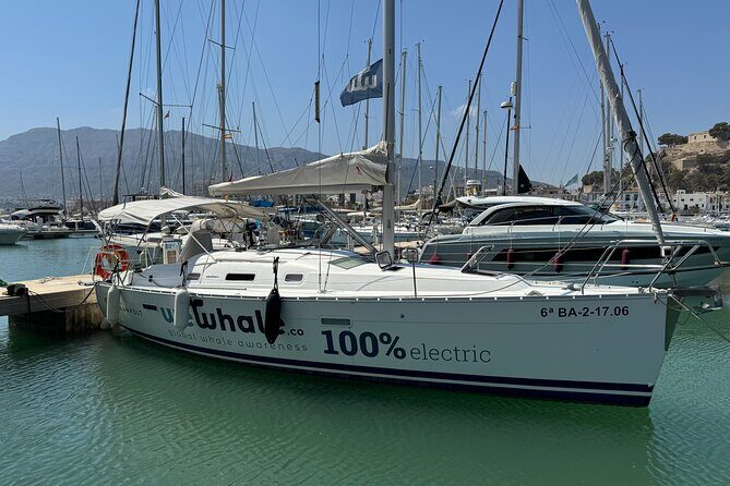 Small Group Dolphin Sunset Tour on Electric Sailing Boat Denia - An Honest Look at the Small Group Dolphin Sunset Tour on Electric Sailing Boat in Denia