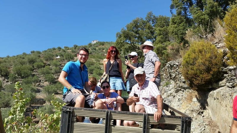 Small Group: Douro Valley Wine Tasting from Porto - The Journey through the Douro Valley