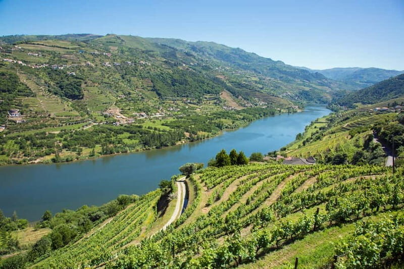 Small Group: Douro Valley Wine Tasting from Porto - What’s Included and What’s Not