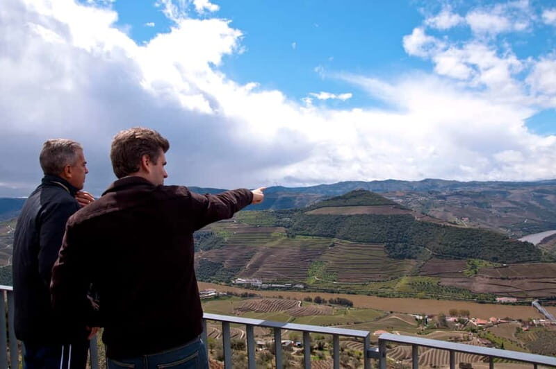 Small Group: Douro Valley Wine Tasting from Porto - Who is This Tour Best For?