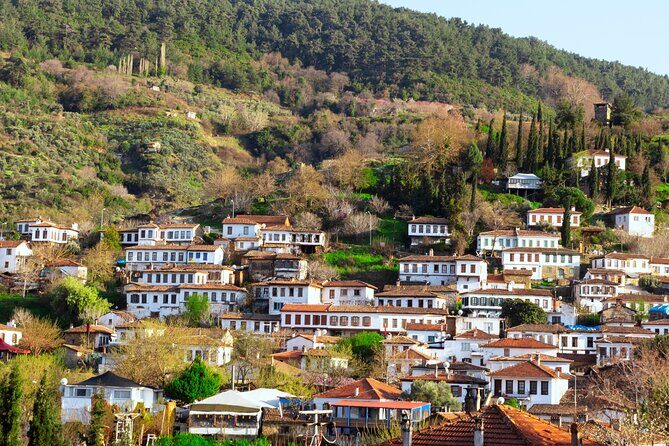 Small Group Ephesus & Sirince Village Tour From Kusadasi / Selcuk Hotels - Authentic Experiences and Tips from Reviews