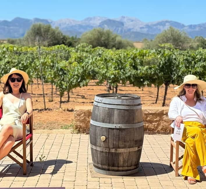 Small group- Exclusive Olive Oil & Wine Tour Mallorca - Who Would Enjoy This Tour?
