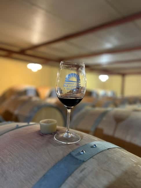 Small group- Exclusive Olive Oil & Wine Tour Mallorca - The Sum Up