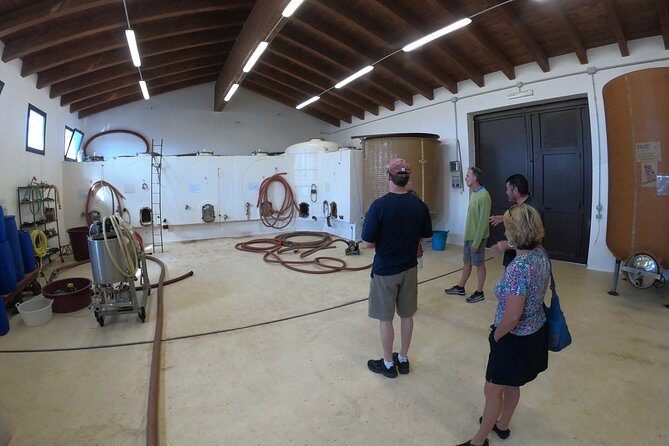 Small-Group Food and Wine Tour from Cagliari - Why This Tour Stands Out