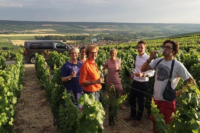 Small Group - Full Day Champagne Tour 3 Small Champagne Growers - Pricing & Value