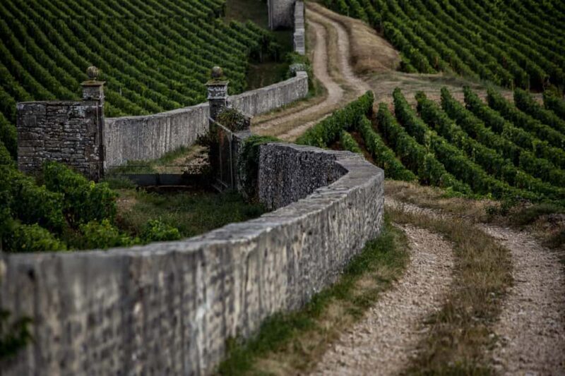 Small group full day tour in the Burgundy vineyards - A Deep Dive Into the Burgundy Vineyards Tour