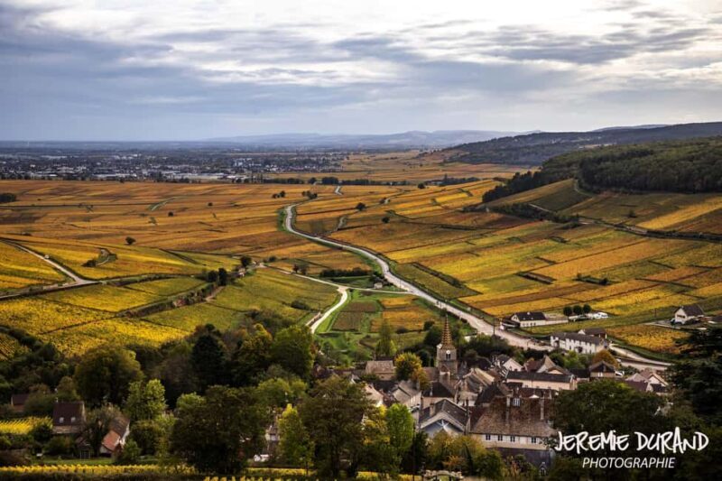 Small group full day tour in the Burgundy vineyards - Who Will Love This Tour?
