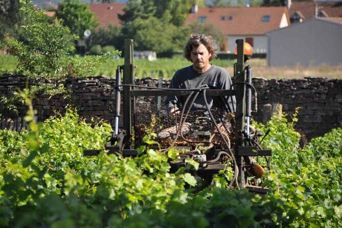 Small-Group Full-Day Tour of Côte de Nuits, Côte de Beaune Vineyards and Beaune Historical District - Scenic Village Drives and Photo Opportunities