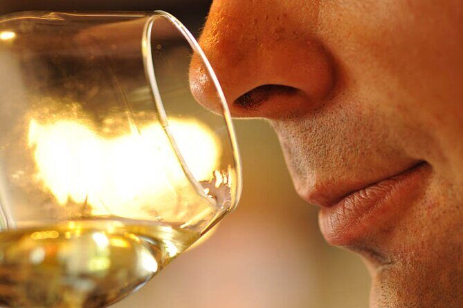 Small-Group Full-Day Tour of Côte de Nuits, Côte de Beaune Vineyards and Beaune Historical District - Is This Tour Worth the Price?