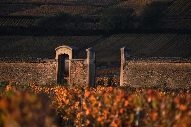 Small-Group Full-Day Tour of Côte de Nuits, Côte de Beaune Vineyards and Beaune Historical District - Final Thoughts