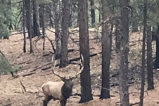 Small Group Grand Canyon Day Trip from Sedona - FAQ