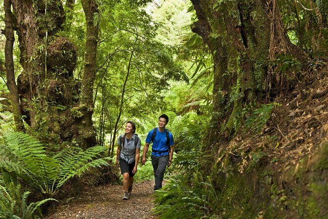 Small-Group Great Ocean Road Classic Day Tour from Melbourne - Frequently Asked Questions
