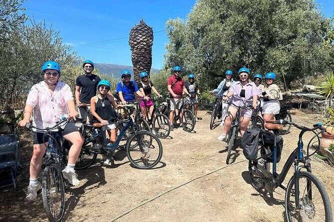 Small Group Guided E-bike Tour in Nice's Organic Vineyard - Why This Tour Stands Out