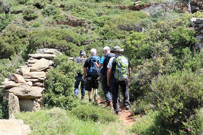 Small-Group Guided Hiking Tour in Andros with picnic on the beach - Key Points