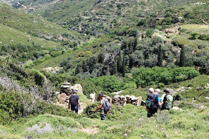 Small-Group Guided Hiking Tour in Andros with picnic on the beach - Detailed Breakdown of the Tour Experience
