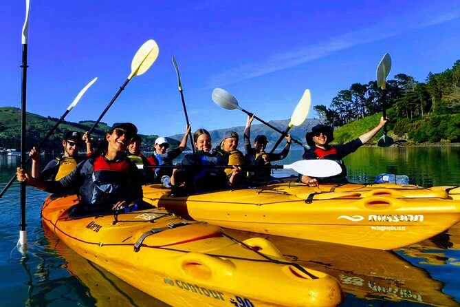 Small group guided sea kayaking in Akaroa marine reserve - Exploring Akaroa’s Marine Reserve by Kayak: An Authentic Adventure