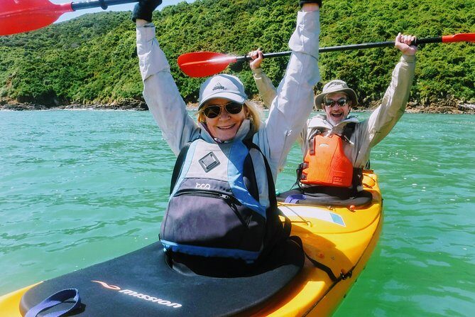 Small group guided sea kayaking in Akaroa marine reserve - What the Reviews Say
