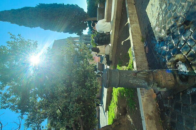 Small Group Guided Tour Of Colosseum, Roman Forum & Palatine Hill - FAQ