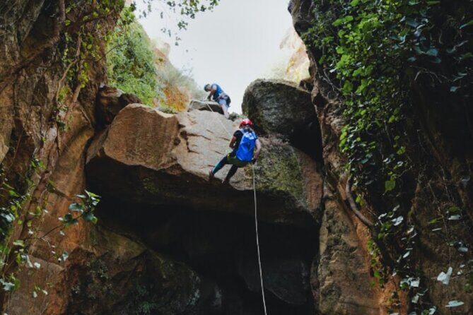 Small-Group Half-Day Canyoning in La Orotava - Frequently Asked Questions