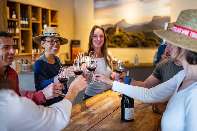 Small-Group Half-Day Languedoc Pic Saint-Loup Wine Tour from Montpellier - Who is This Tour Best For?