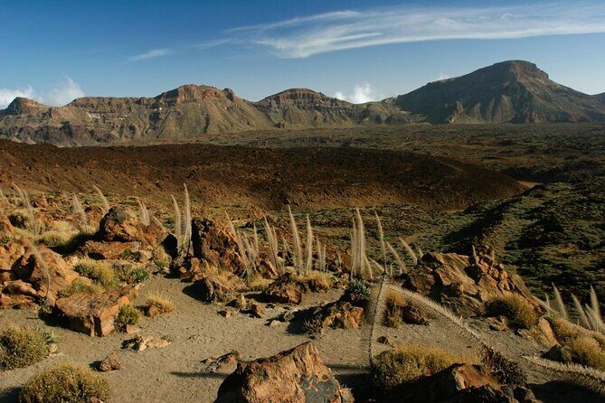 Small-Group Half-Day Tour of Teide National Park with Pickup - Exploring Tenerife’s Hidden Gem: The Small-Group Half-Day Tour of Teide National Park