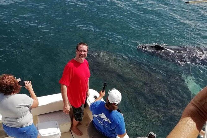 Small-Group Half-Day Whale-Watching Tour in Puerto Vallarta - FAQ