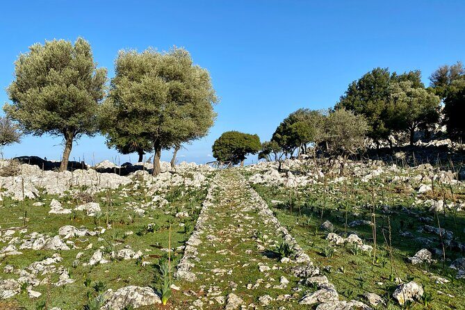 Small Group Hiking from Salakos to Profitis Ilias - Practical Details and Experience Satisfaction