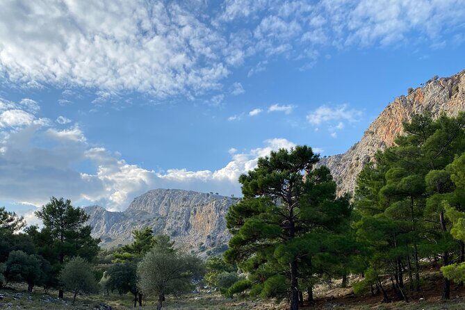 Small Group Hiking in Lindos - Final Thoughts: Is This the Right Tour for You?