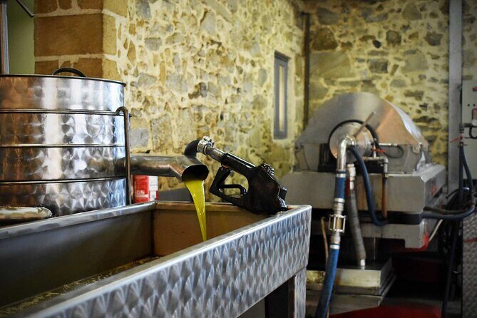 Small-Group Honey & Extra Virgin Olive Oil Tasting Tour in Crete - A Deep Dive into the Experience