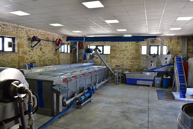 Small-Group Honey & Extra Virgin Olive Oil Tasting Tour in Crete - FAQ