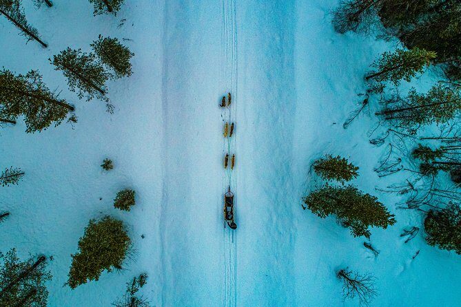 Small-Group Husky Mushing Experience in Rovaniemi - Practical Details to Keep in Mind