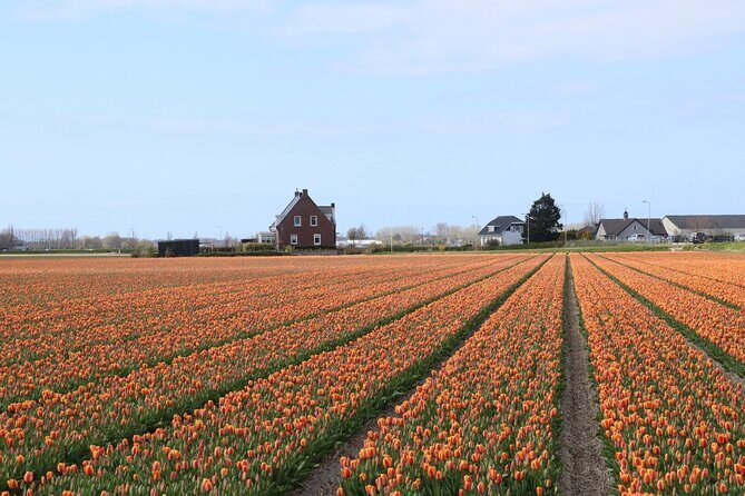 Small Group Keukenhof and Delft Guided Tour from Amsterdam - Authentic Experiences & Reviewer Insights