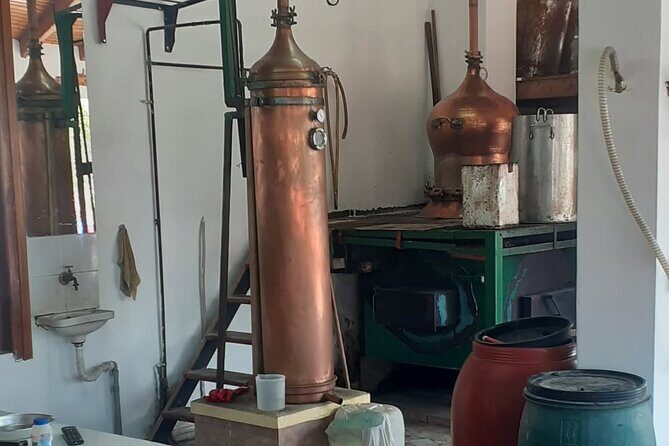 Small Group: Knossos, Olive Oil, Winery & Raki with Lunch - Why This Tour Offers Great Value