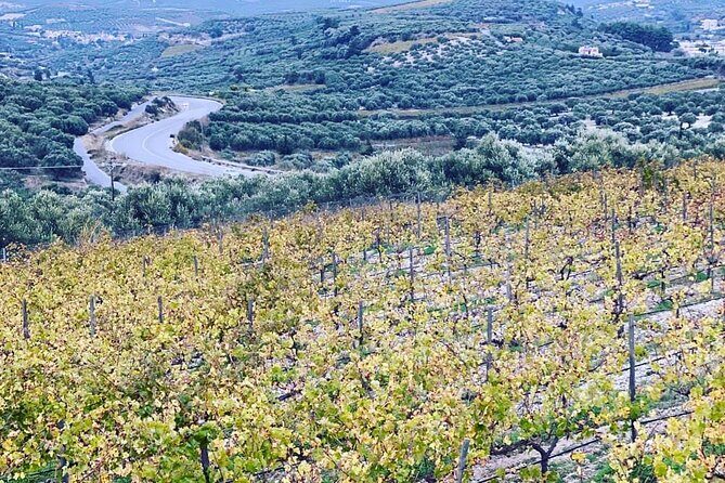 Small Group: Knossos, Olive Oil, Winery & Raki with Lunch - Final Thoughts