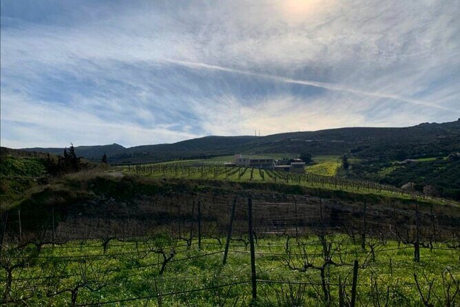 Small Group: Knossos, Olive Oil, Winery & Raki with Lunch - FAQ