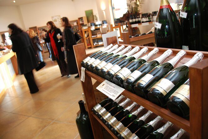 Small-Group Kumeu Wine Country Tour with Wine Tastings & Lunch - Exploring the Itinerary: What’s in Store