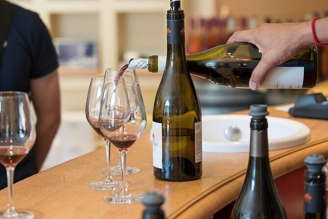 Small Group Marseille Shore Excursion : Avignon & Chateauneuf du Pape Wine Tour - The Pros and Cons Recap