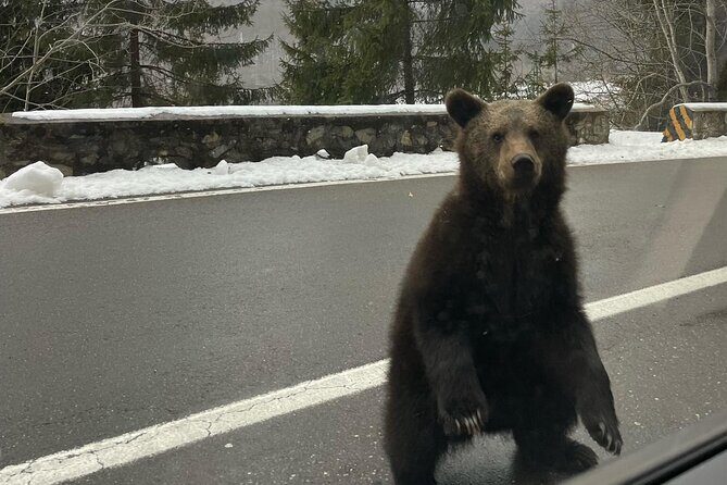 Small group max 7, Transfgran the Top Gear Road - Frequently Asked Questions