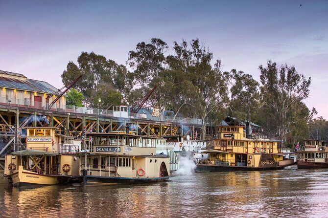Small-Group Murray River Adventure - Paddle Steamer & Wildlife - Introduction