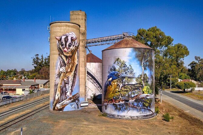 Small-Group Murray River Adventure - Paddle Steamer & Wildlife - Key Points