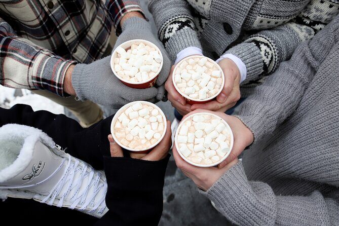 Small Group Mystery Shop and Dine Christmas Tour from Toronto - The Transport and Overall Experience